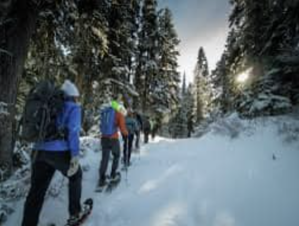 Moonlight Snowshoe Hike @ Grafton Trails - Visit Grafton, VT